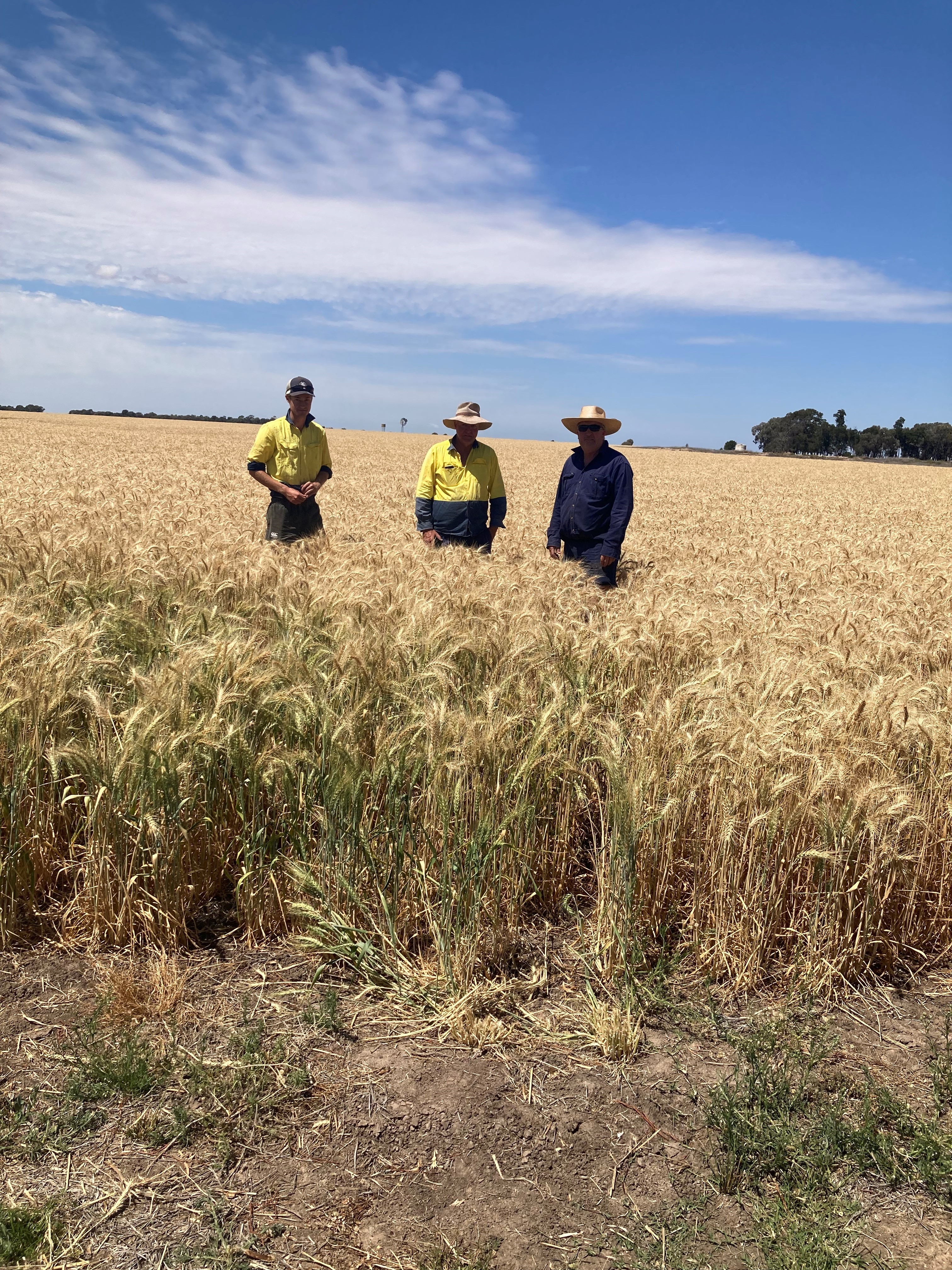 Cargill supporting Local Growers at the Tara Crop Competition | Cargill ...